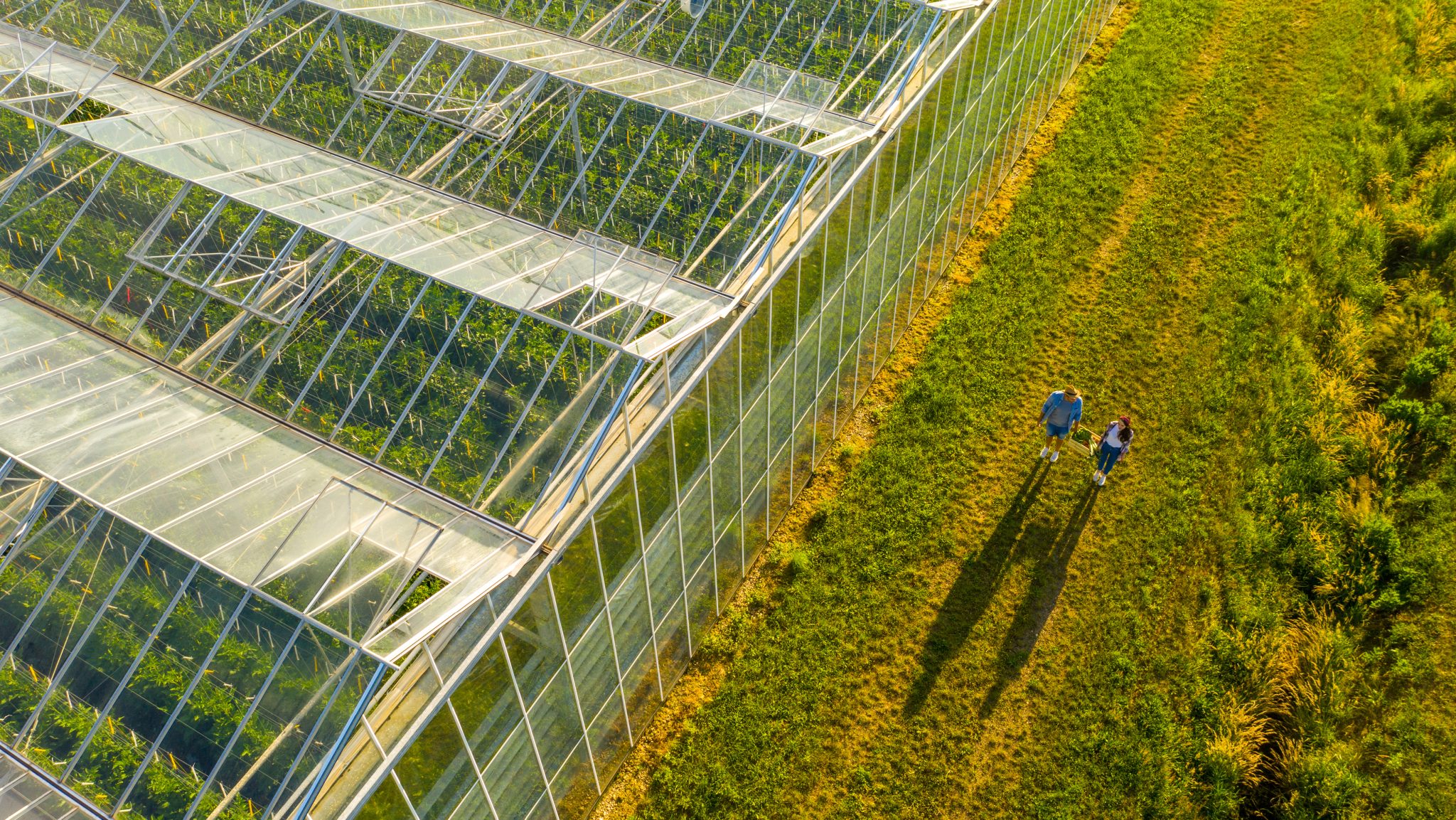 News & Insights - Corval